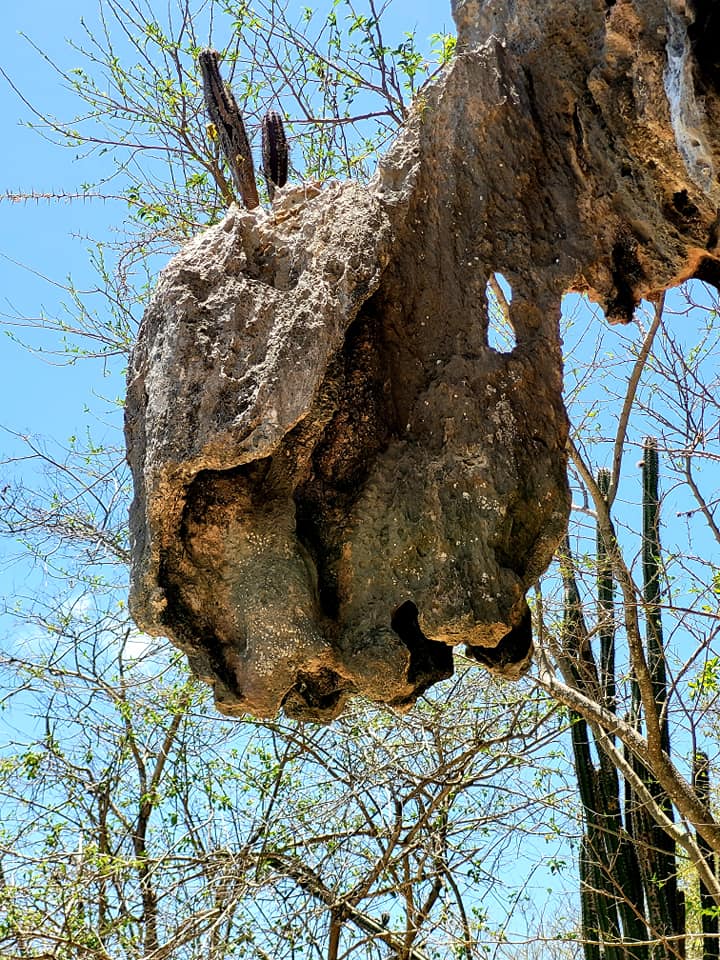 De grotten van Hato. – Eilandverhalen Curaçao